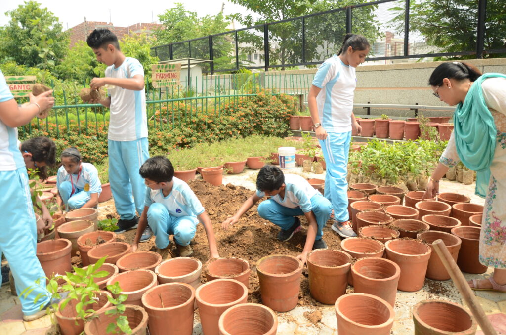 Organic Farming – Wisdom World School